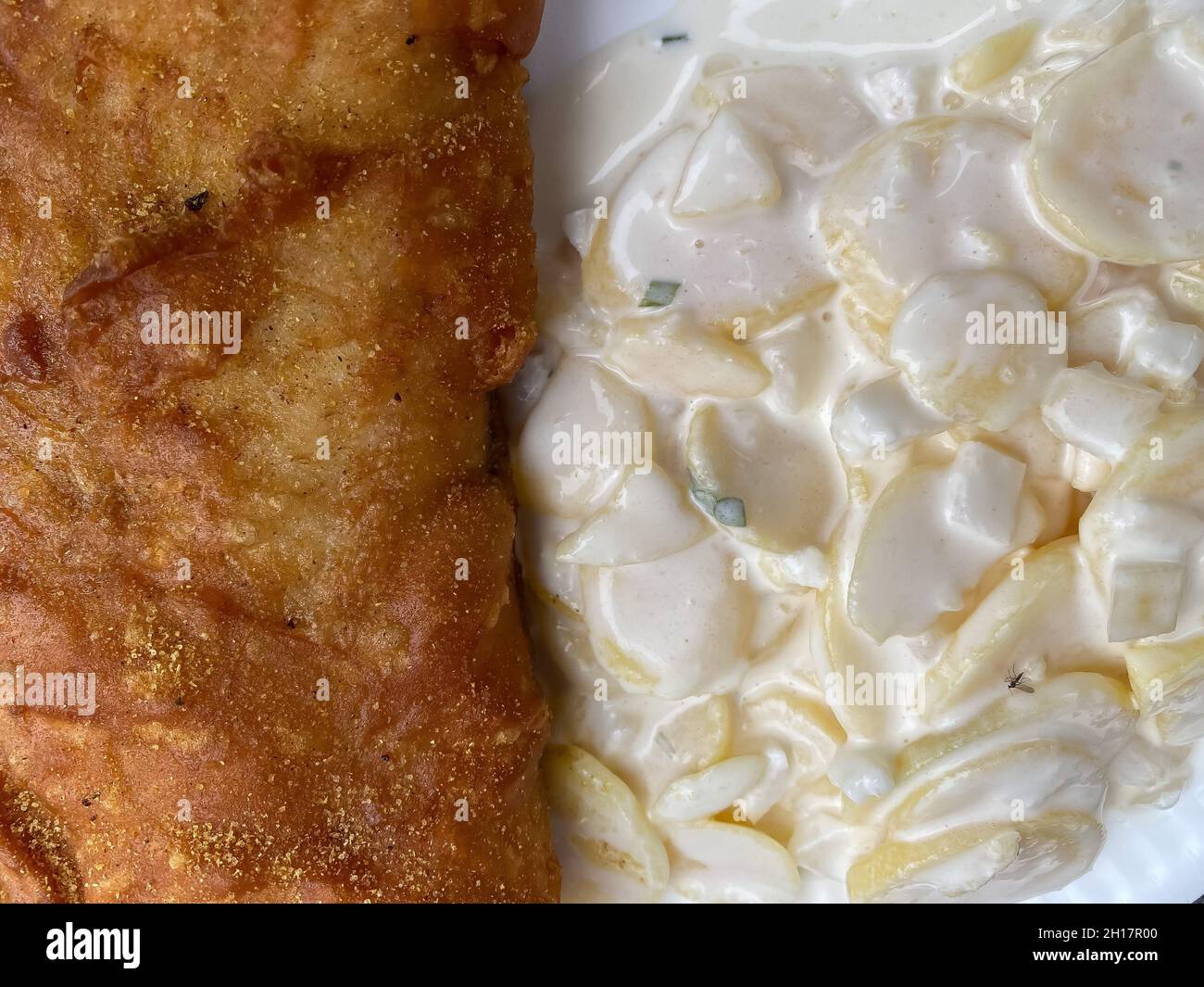 Closeup of isolated breaded fried fish with greasy mayonnaise potato ...