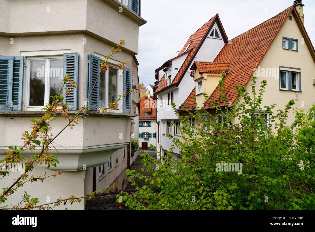 a scenic view over the roofs of the old historic Ulm City with Ulm ...