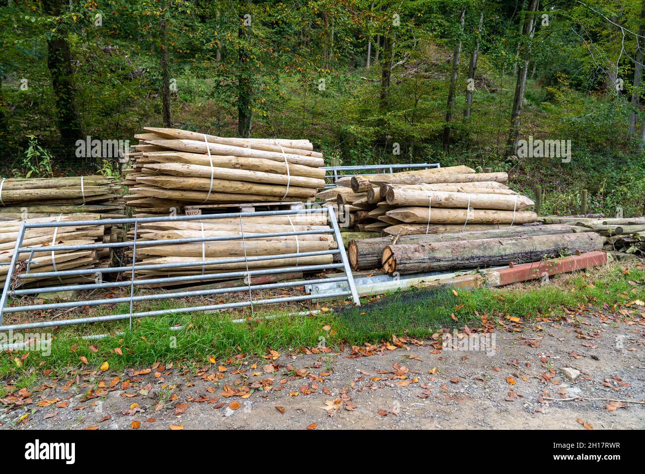 unsawn tree trunks bundles of Wooden fence posts, round wood piles ...