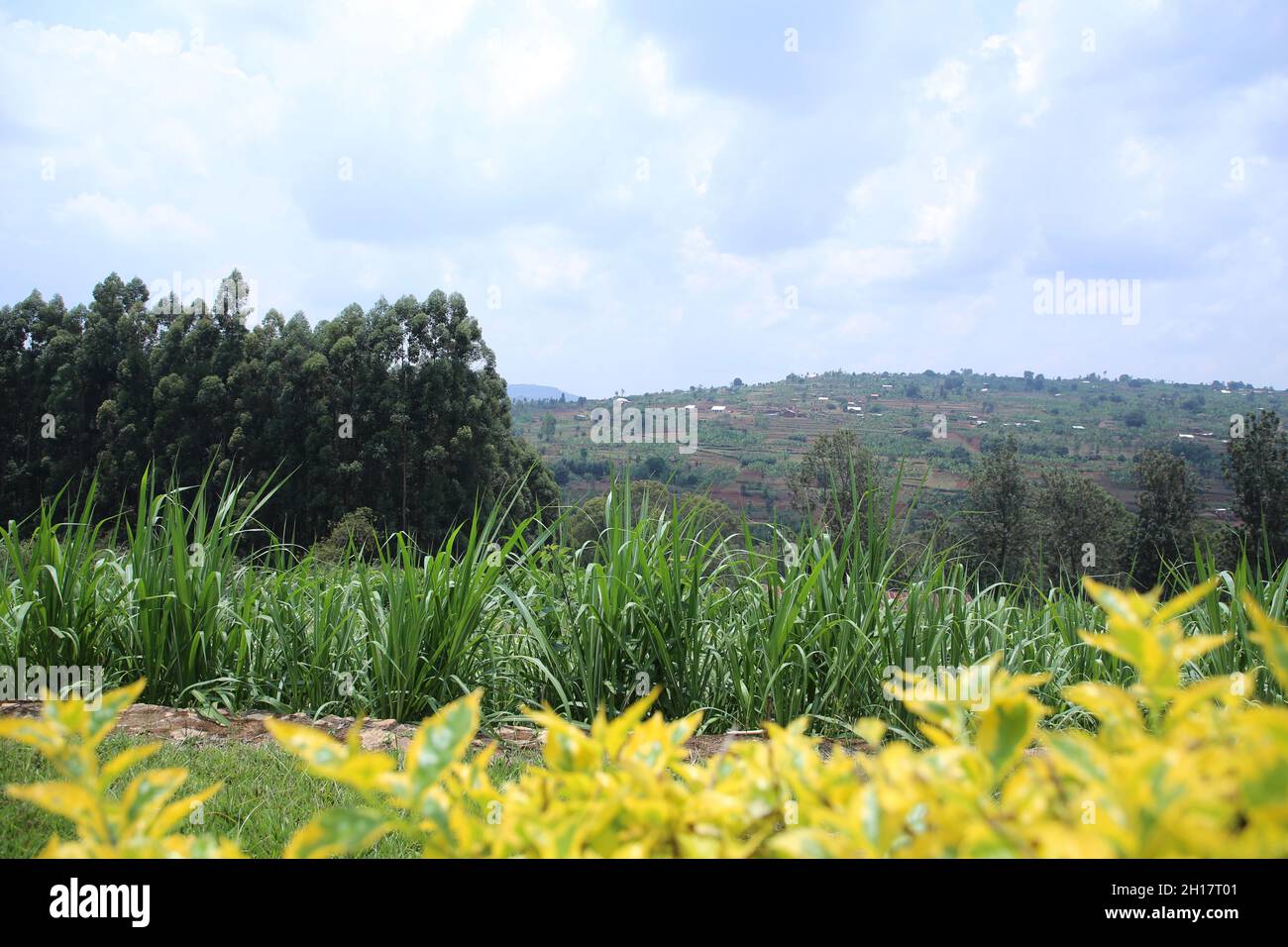 China and rwanda hi-res stock photography and images - Alamy