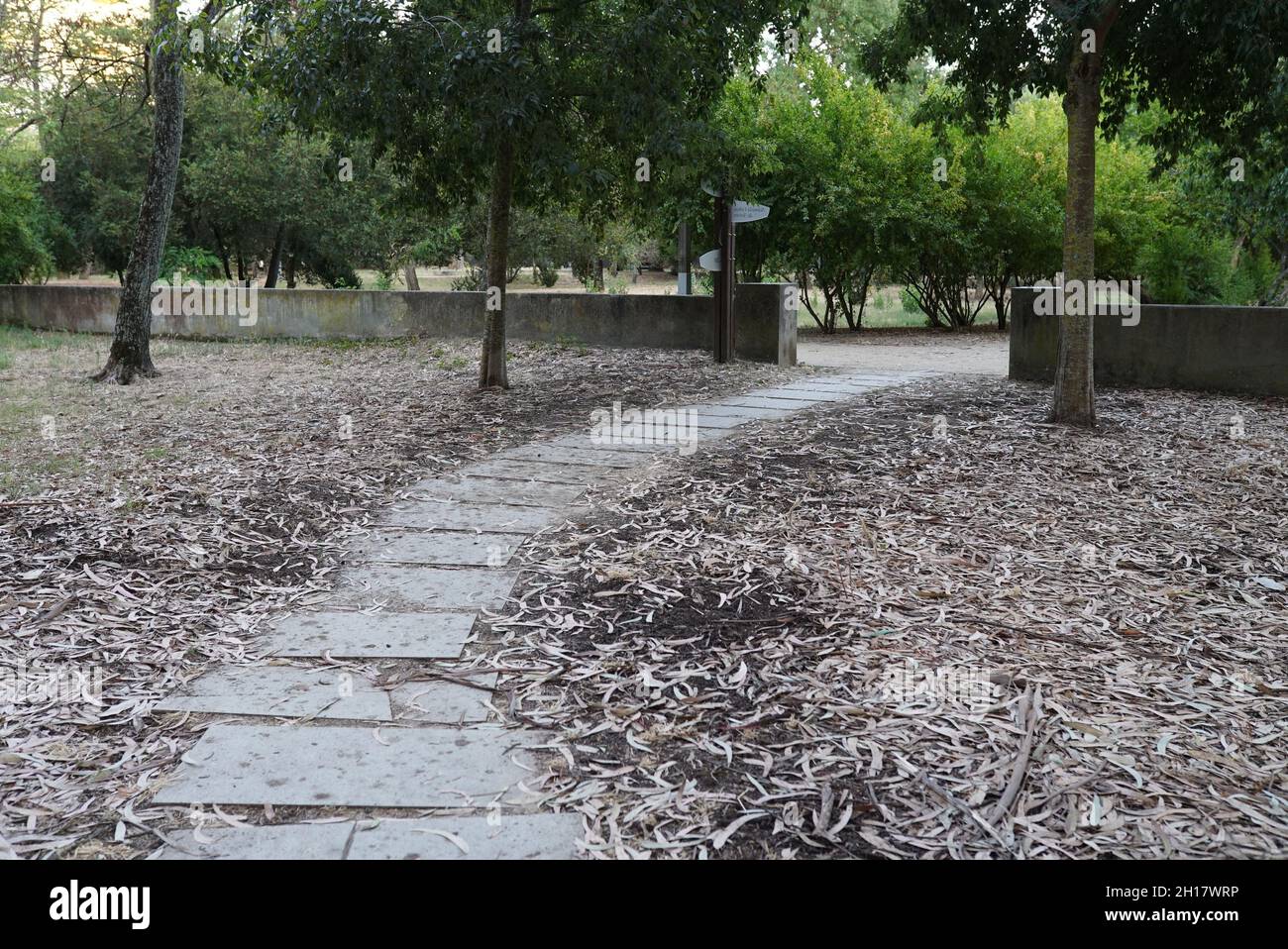 A narrow stone walkway through a pa Stock Photo - Alamy