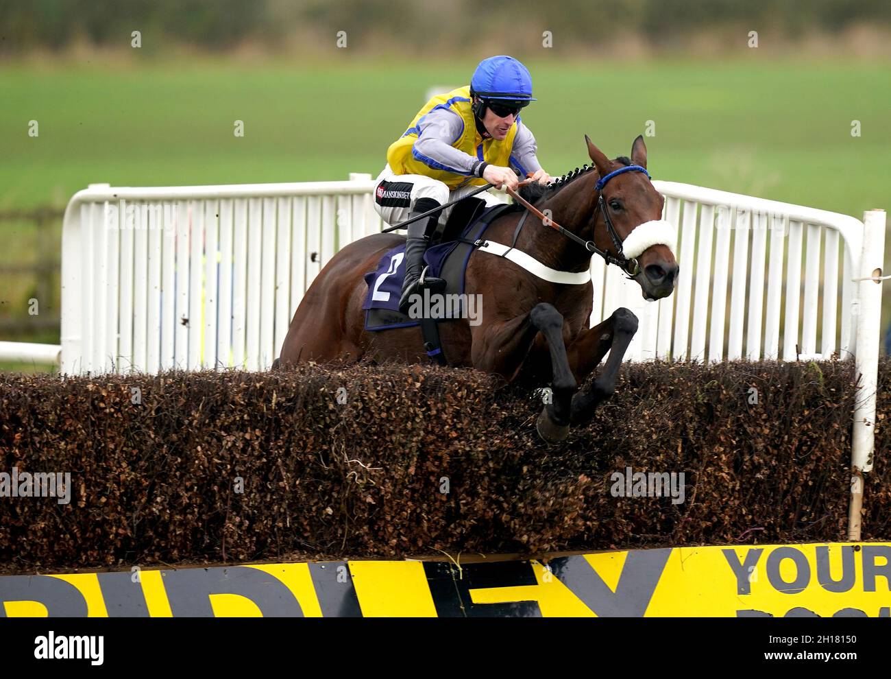 Minella trump racecourse hi-res stock photography and images - Alamy