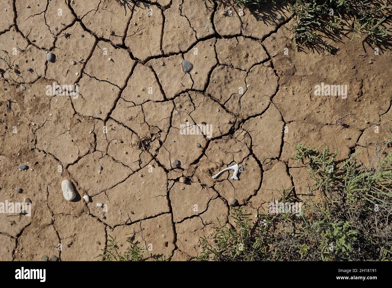 Cracked clay ground at the dry season. Dry soil texture wallpaper 4k ...