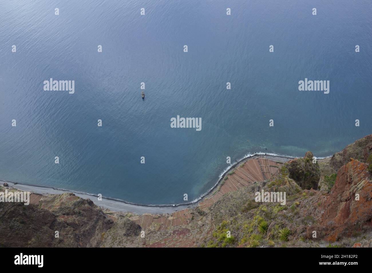 Explore madeira hi-res stock photography and images - Alamy