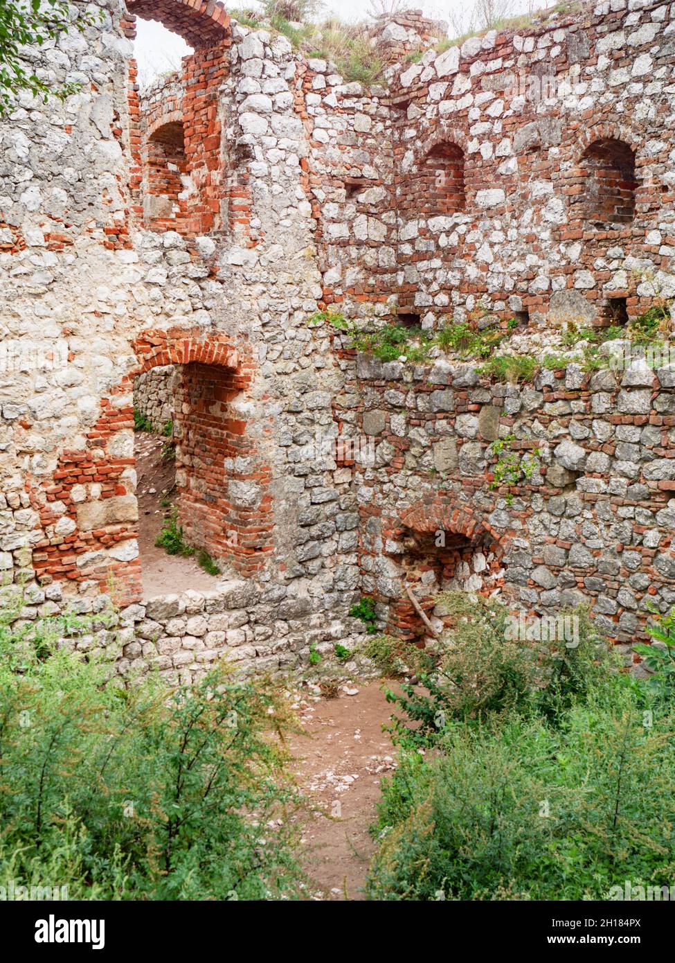Ruin of Devicky castle on the hill Devin above Pavlov and Dolni ...