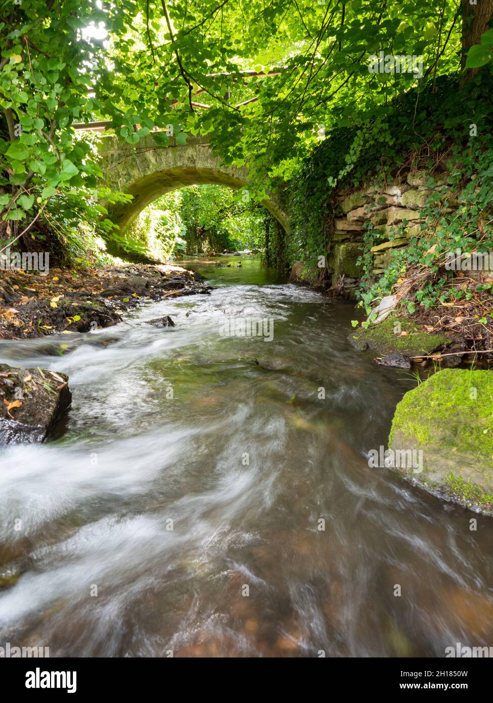 Medieval wooden bridge over a small river in the morning sun. Hermanuv ...