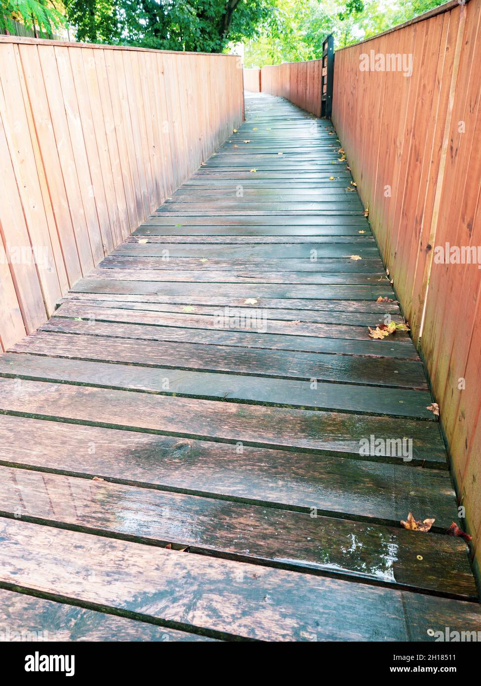 Free wheelchairs hi-res stock photography and images - Alamy
