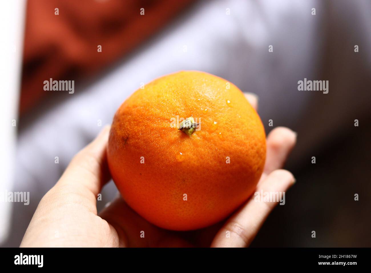 A close-up shot of a hand holding an orange Stock Photo - Alamy