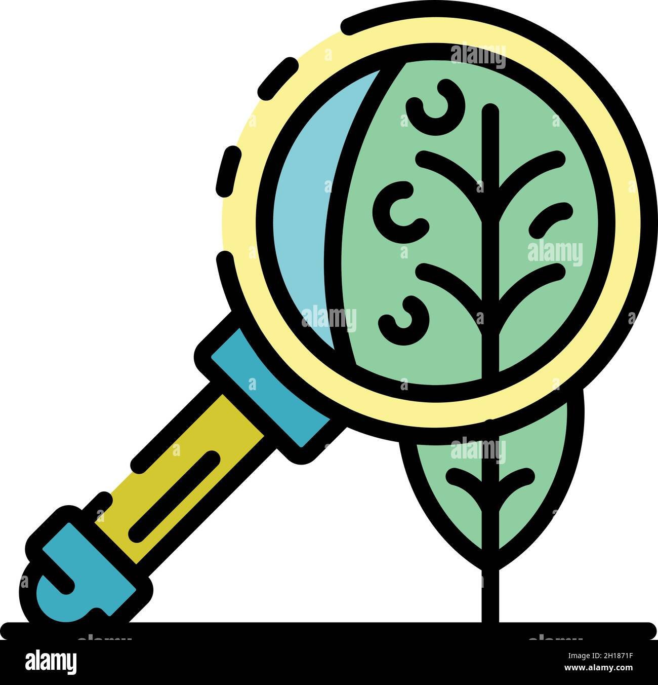 Leaf under magnify glass icon. Outline leaf under magnify glass vector ...