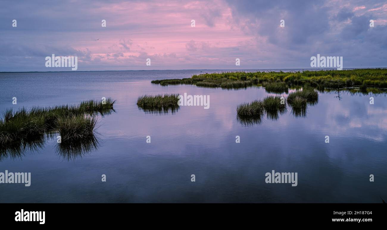 A wide angle shot that looks over the greenery in Currituck Sound and ...