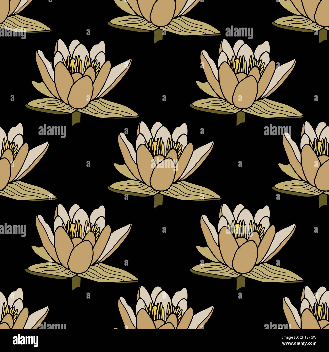 Water lily flower seamless pattern. Isoalted on back background Stock ...