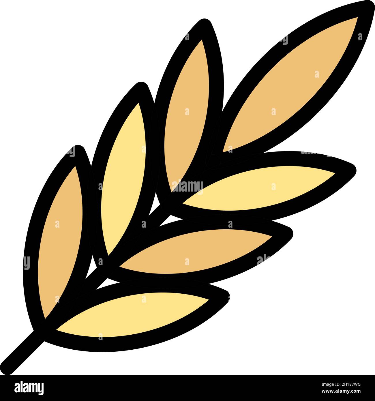 Spices leaf branch icon. Outline spices leaf branch vector icon color ...