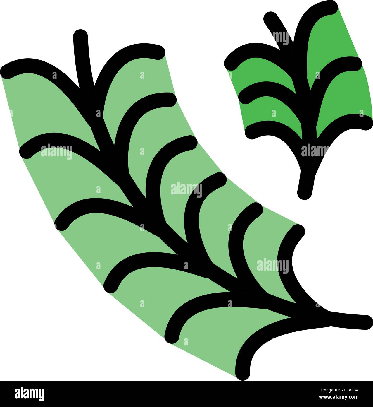Rosemary icon. Outline rosemary vector icon color flat isolated Stock ...