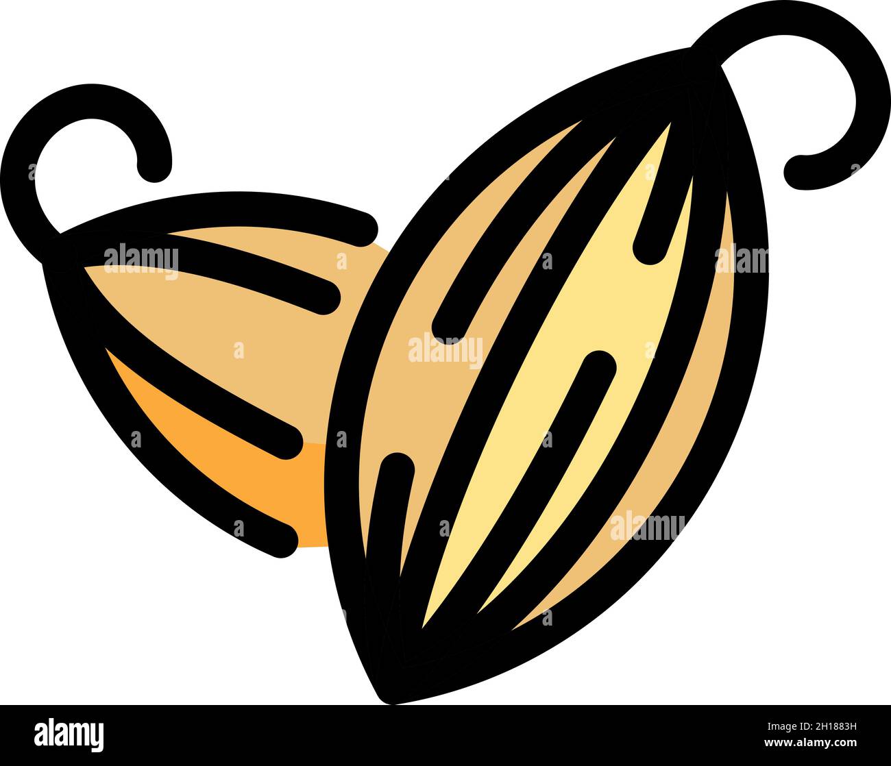 Cardamom icon. Outline cardamom vector icon color flat isolated Stock ...