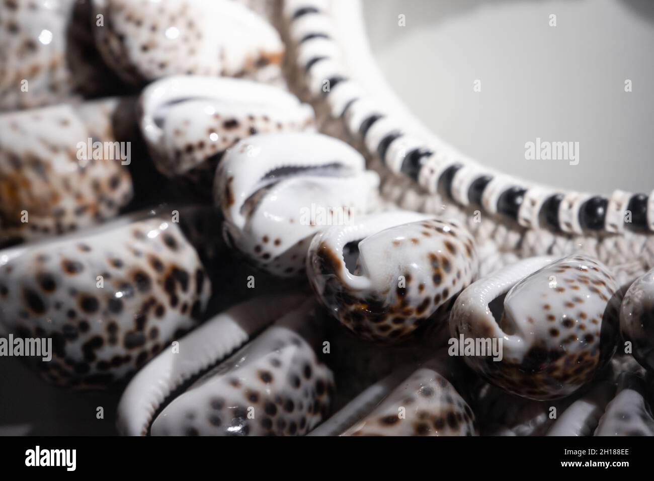 Handmade necklace made of shells, closeup photo with selective soft ...