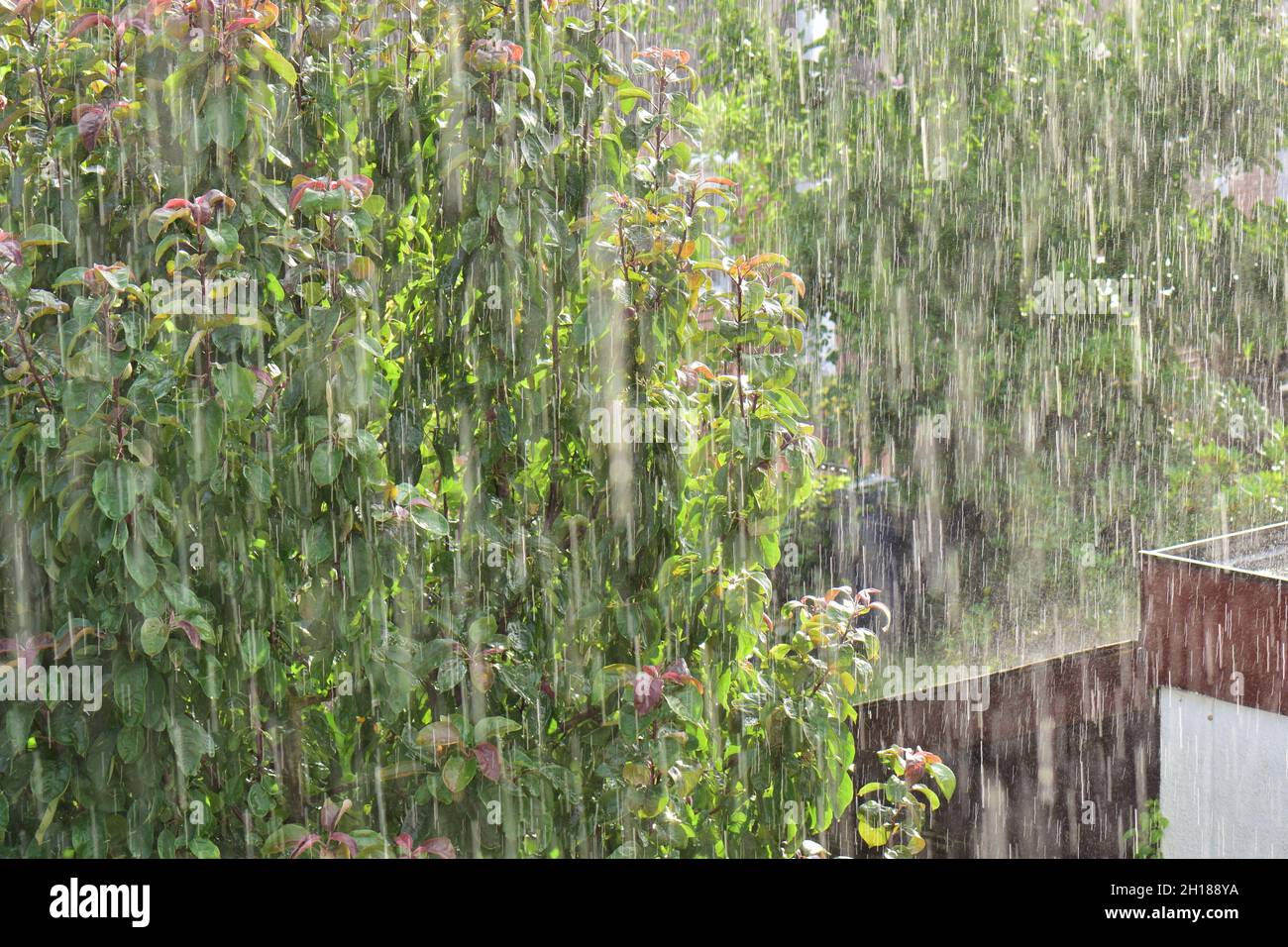 Heavy rain and sun hi-res stock photography and images - Alamy