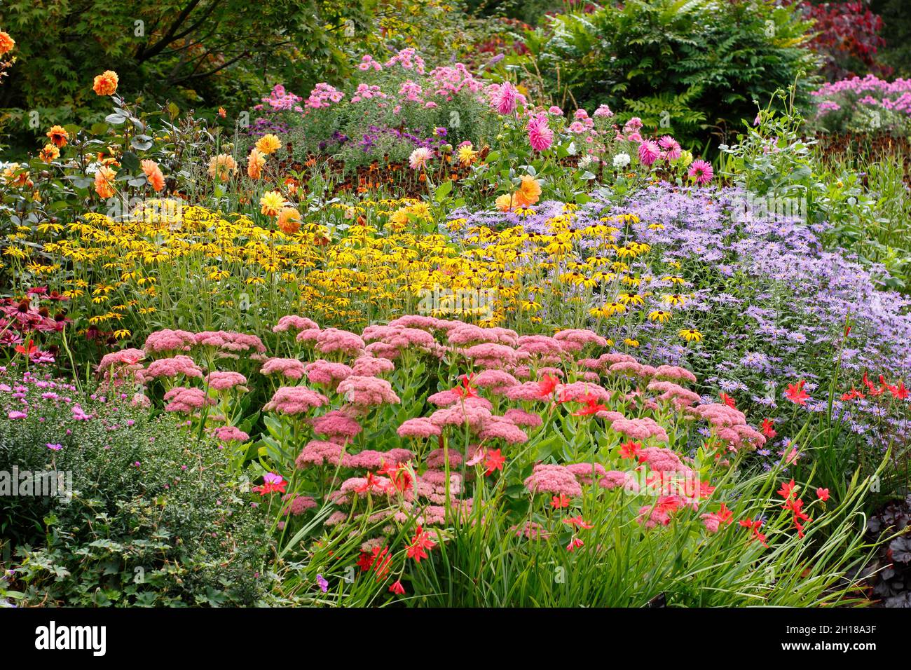 Perennial border hi-res stock photography and images - Alamy