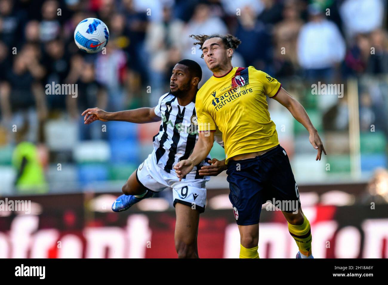 Betuncal norbero beto hi-res stock photography and images - Alamy