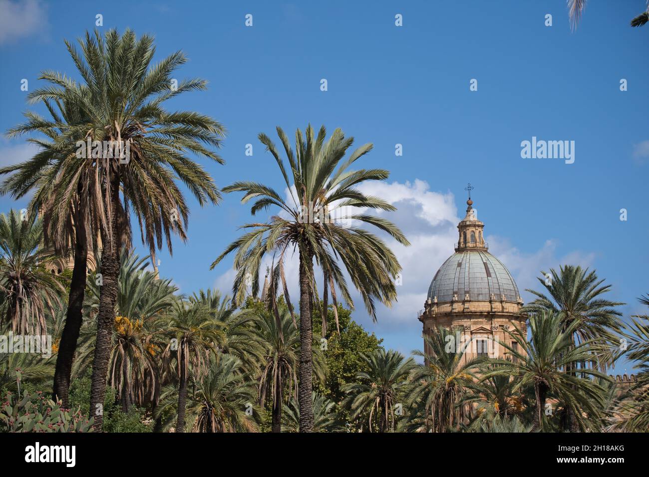 View of the cathedral dome behind the palms of Victory square in ...
