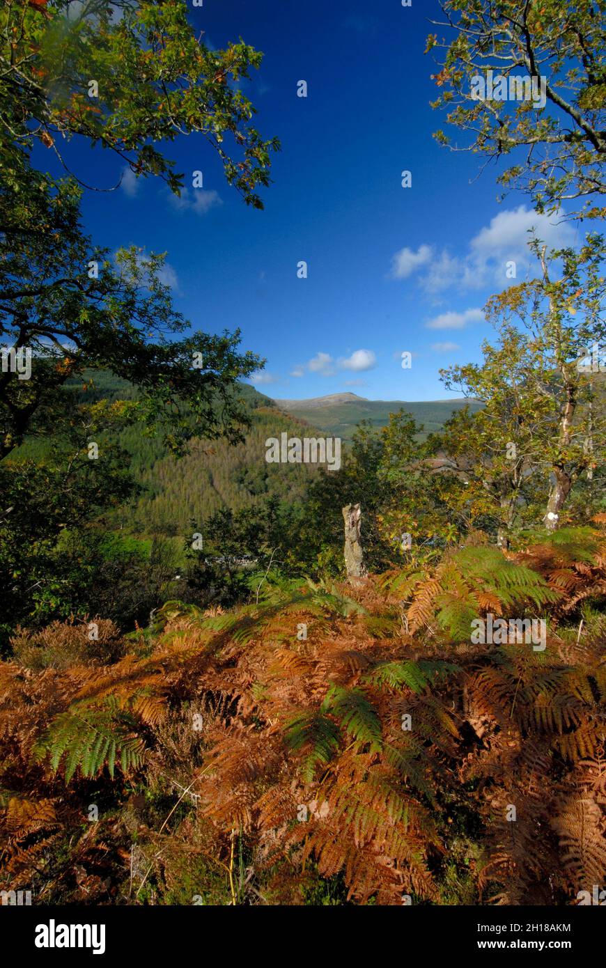 Cader Idris/Cadair Idris from above Aberllefenni Stock Photo - Alamy