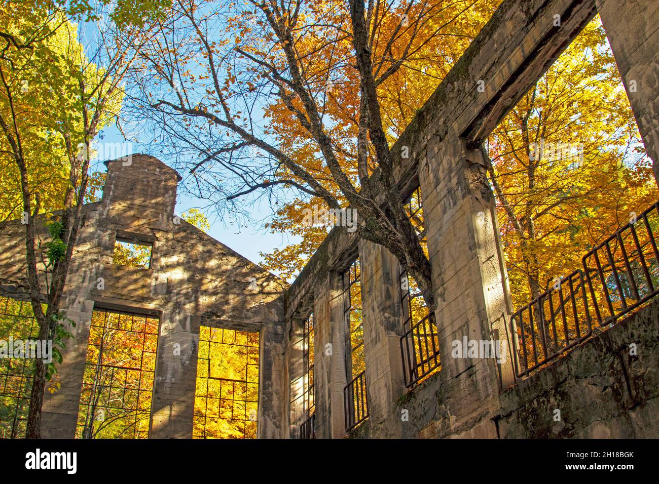 Fall colours at the ruins of an old laboratory. Gatineau Park, Quebec ...