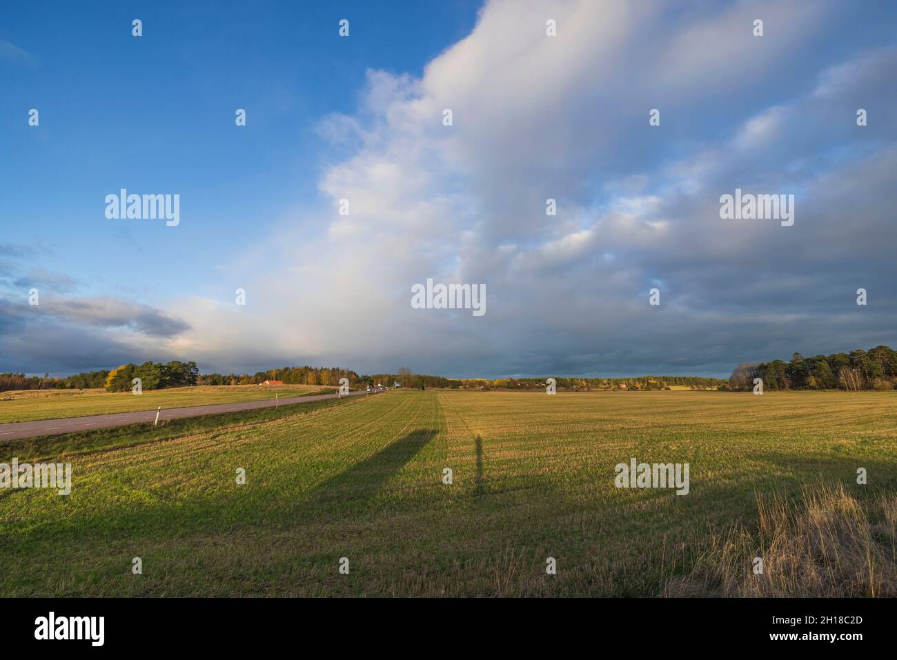 Gorgeous colorful fall landscape view. Yellow field and trees on blue ...