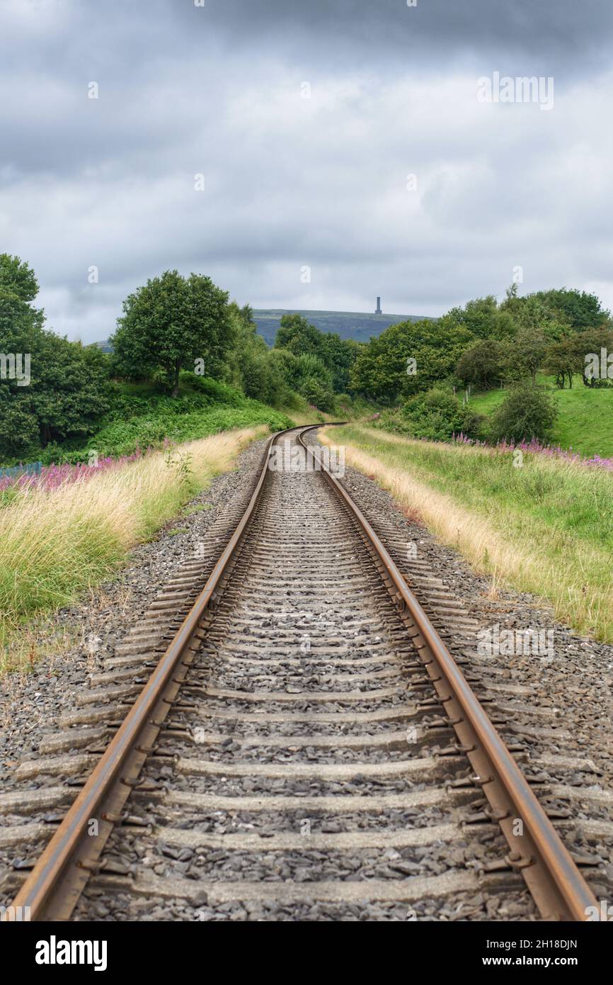 A vertical shot of a train track in a field covered in greenery under a ...