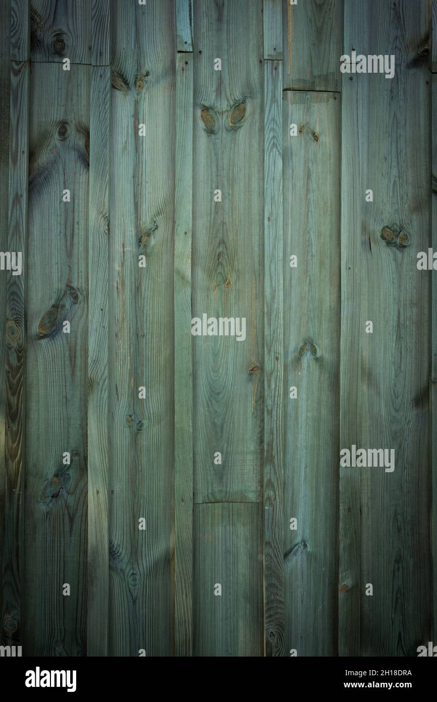 Wooden logs of an old house. Close-up. Weathered green wood texture ...