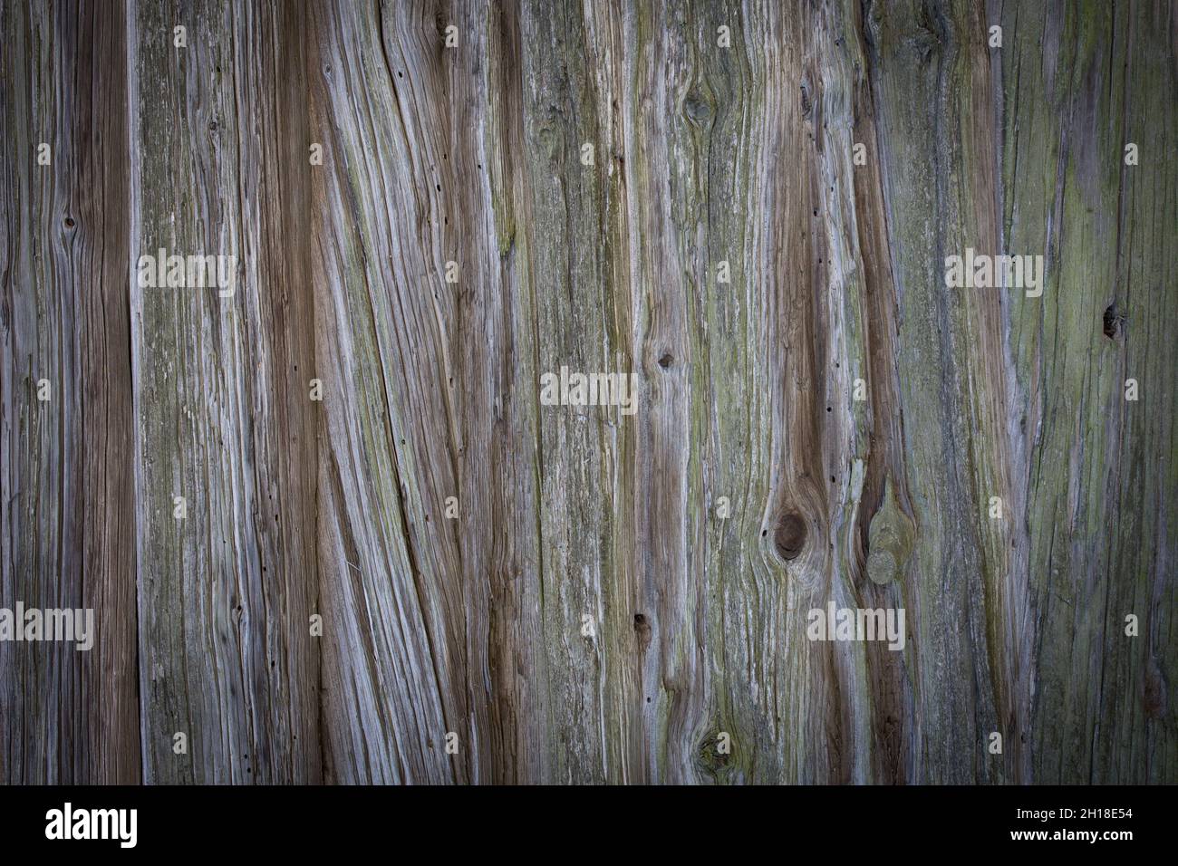 Wooden logs of an old house. Close-up. Weathered natural gray wood ...