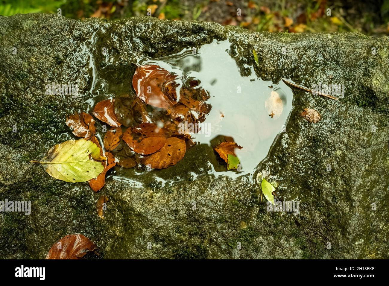 Small pool hi-res stock photography and images - Alamy