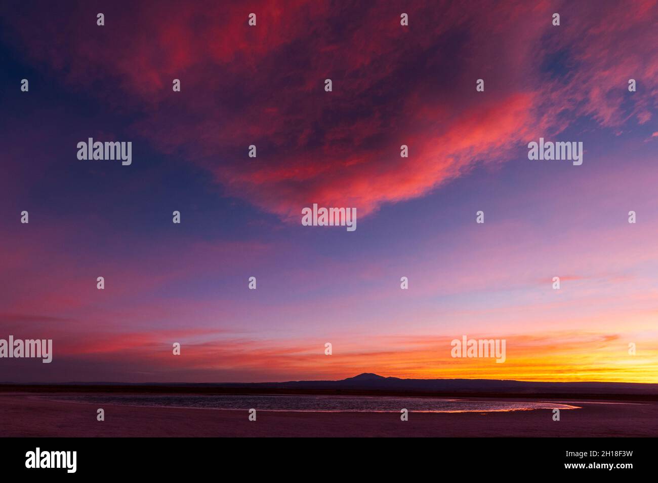 Laguna Cejar, in the Salar de Atacama, with pink clouds overhead at ...
