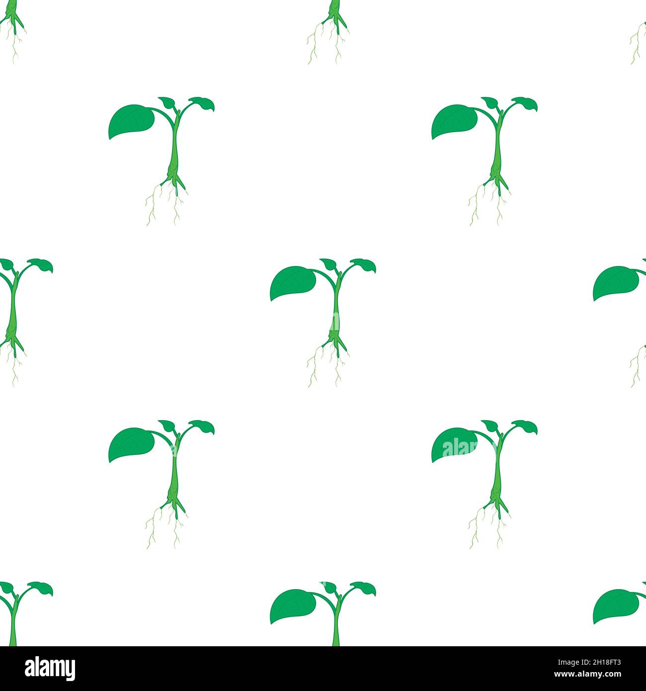 Root growth experiment Stock Vector Images - Alamy