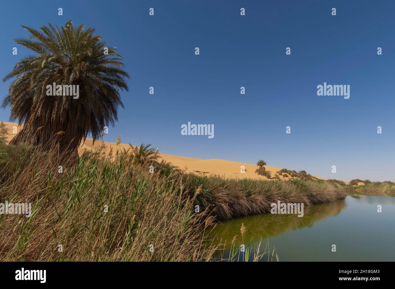 Awbari region hi-res stock photography and images - Alamy