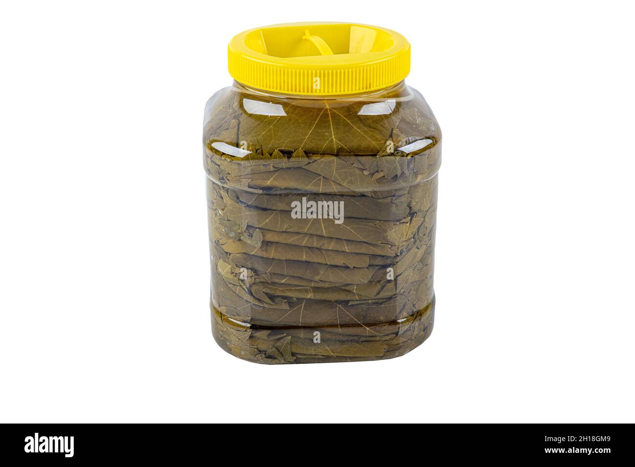 pickled grape leaves in plastic container.pickled grape leaves Stock ...