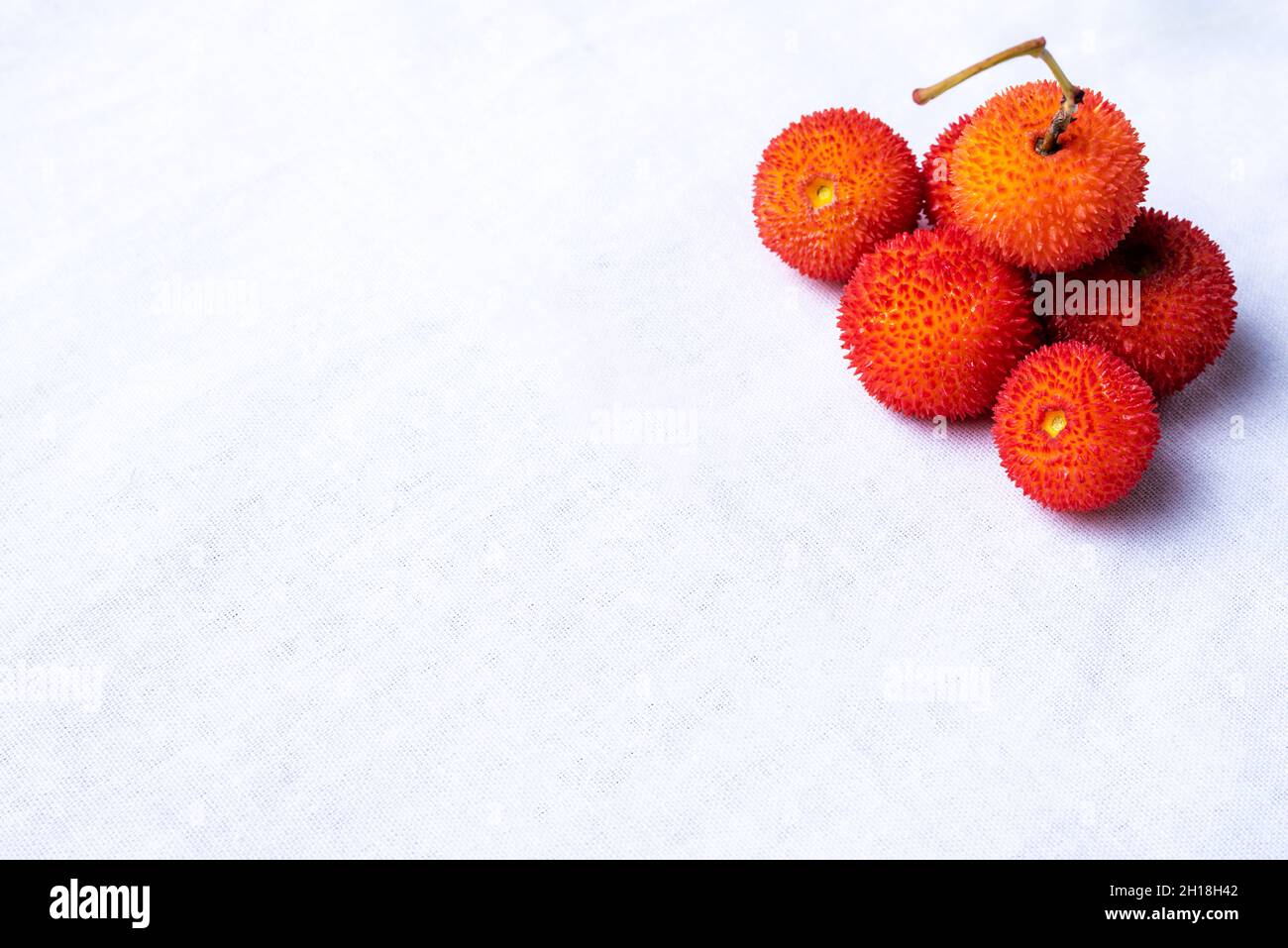 Strawberry tree (madrone) fruit isolated and located in a corner on ...