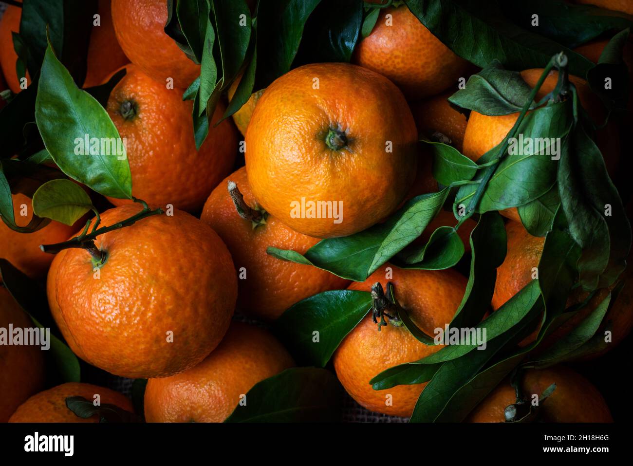 Close up orange tangerines hi-res stock photography and images - Alamy