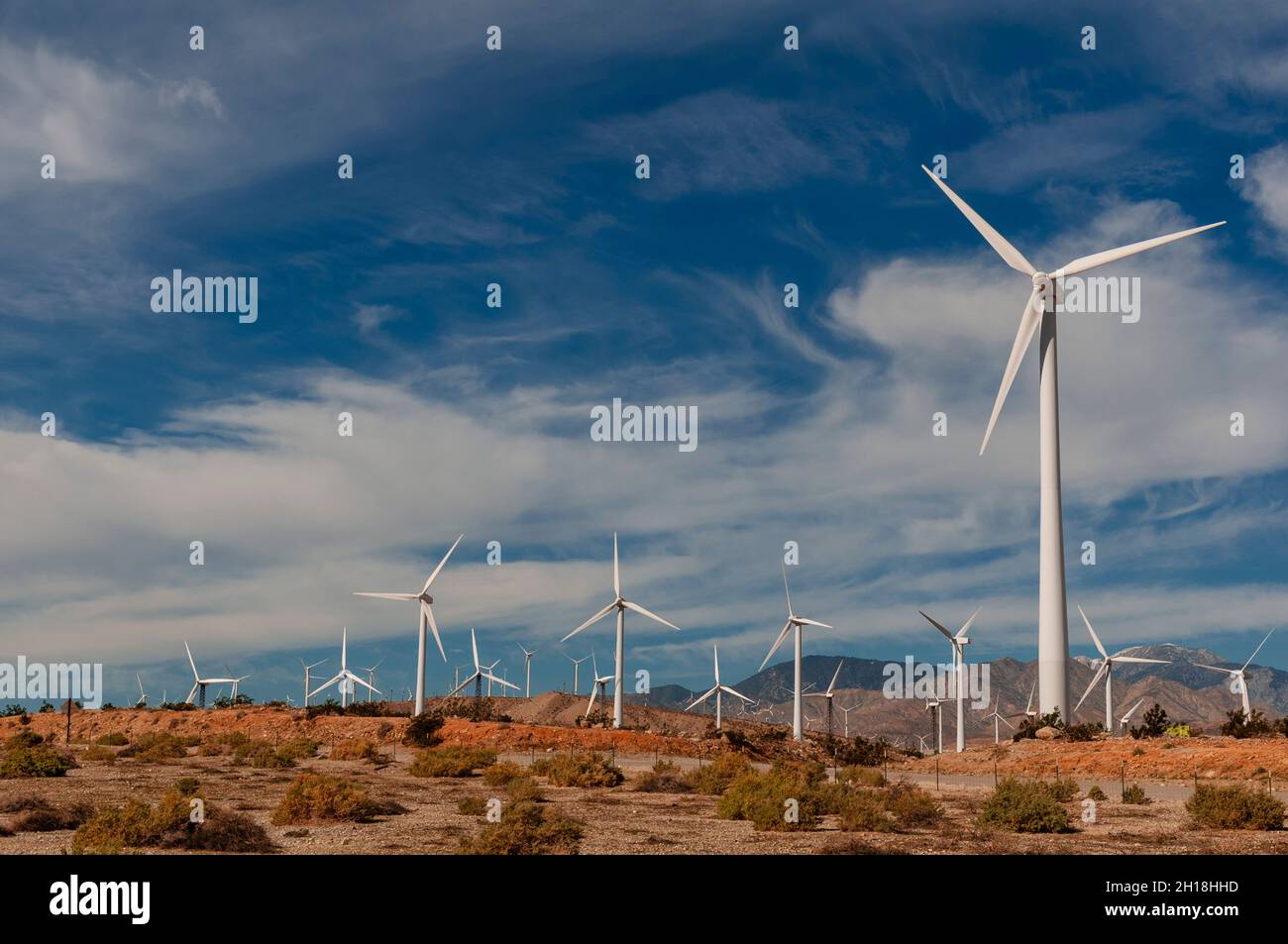 Rows of windmills on a wind farm. Palm Springs, California Stock Photo ...