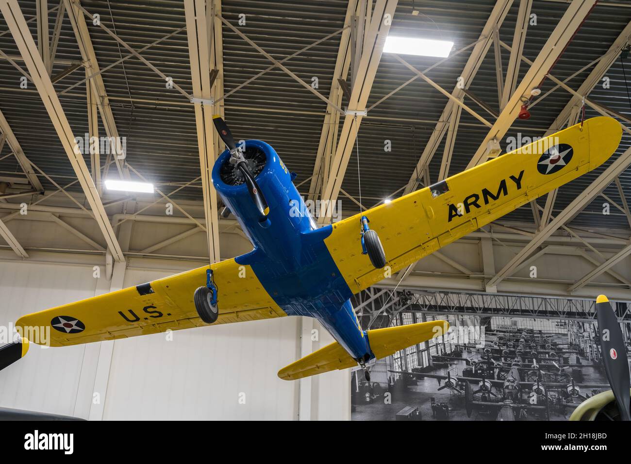 Trainer color colour hi-res stock photography and images - Alamy