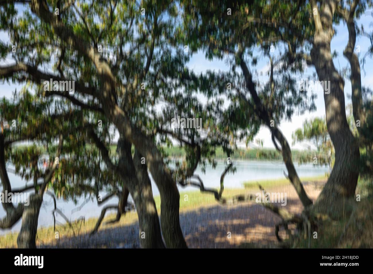 Abstract Tree of Dell Quay, West Sussex, UK Stock Photo - Alamy