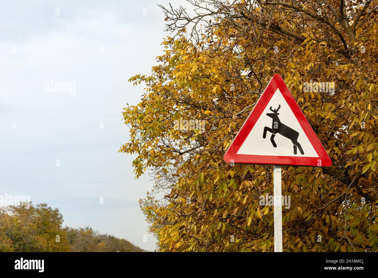 Beware animal deer traffic sign hi-res stock photography and images - Alamy