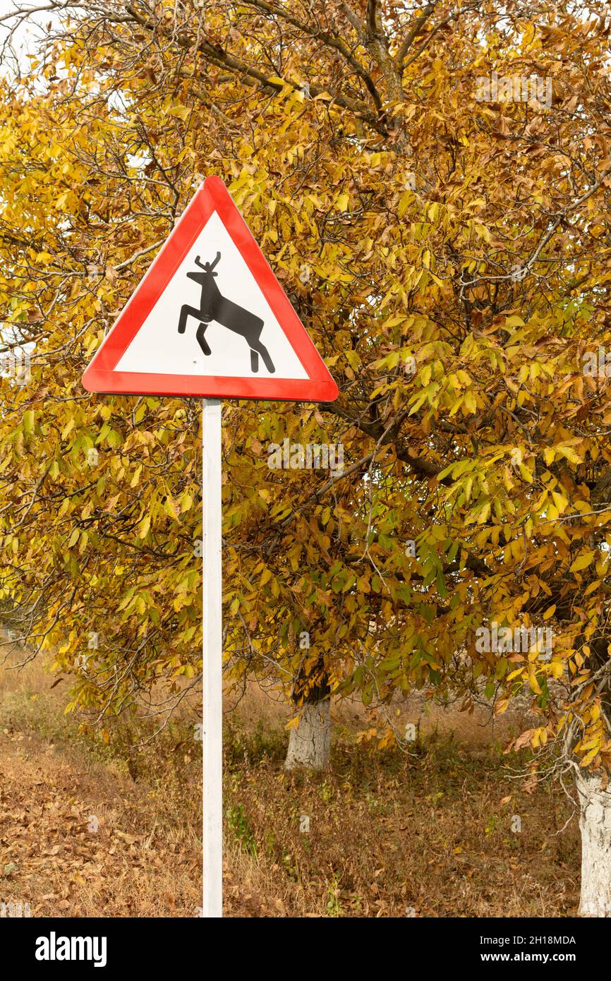 Roadside deer crossing sign hi-res stock photography and images - Alamy