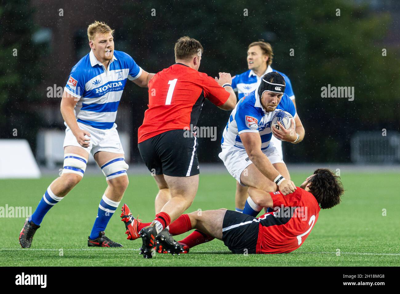 Rob brouwer hi-res stock photography and images - Alamy