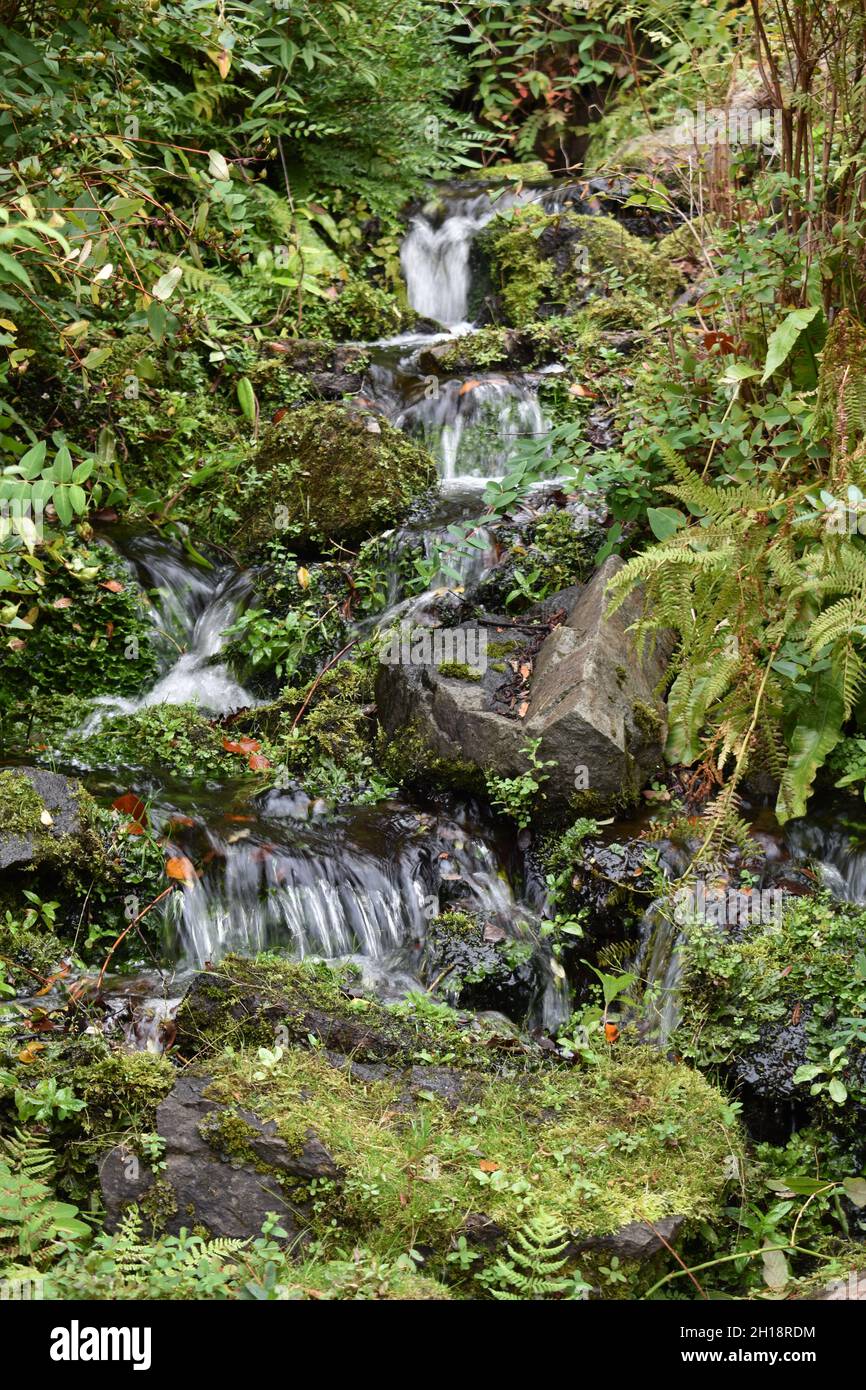 Small waterfall among the rocks Stock Photo - Alamy