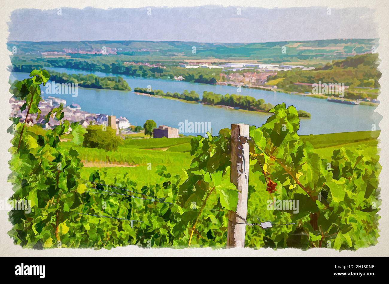 Watercolor drawing of Grapevine wooden pole and rows of vineyards green ...