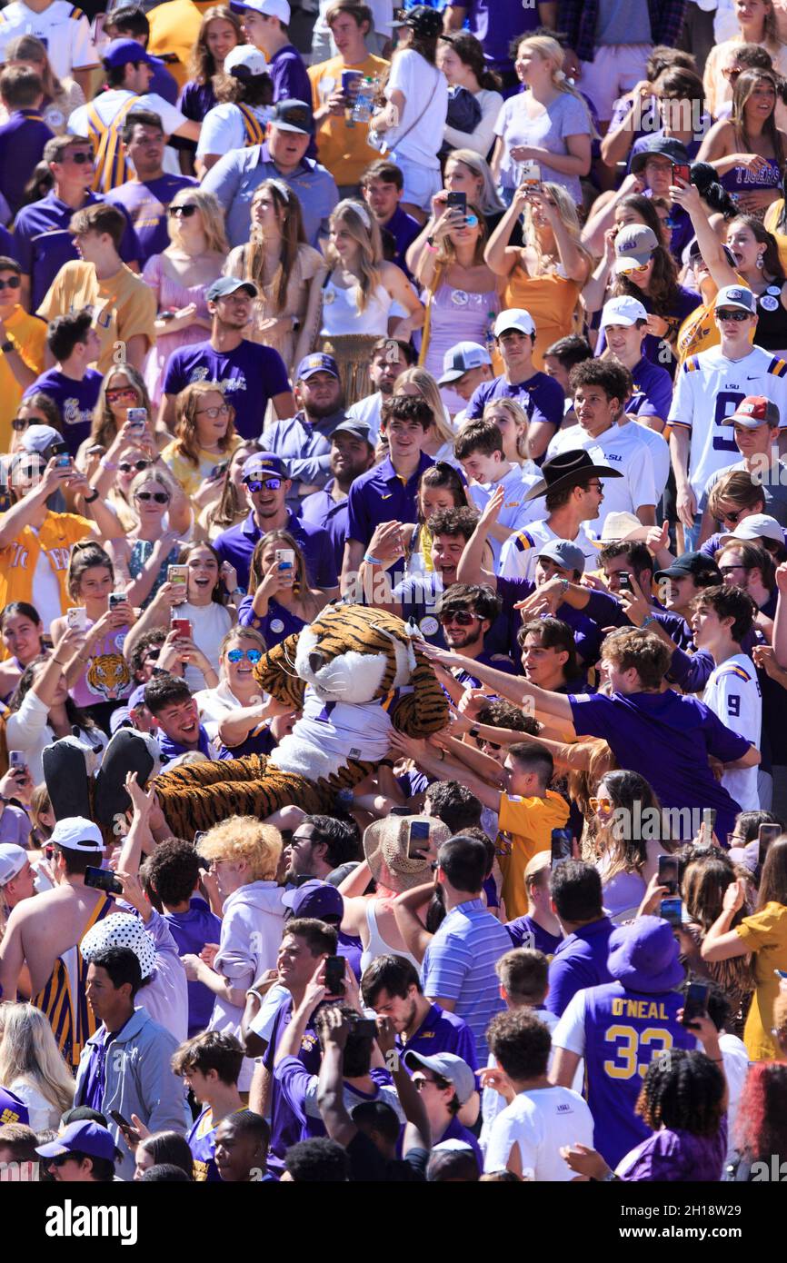 Mike the tigers hi-res stock photography and images - Alamy