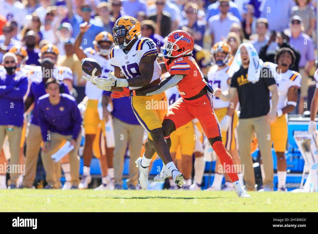 Clark rouge hi-res stock photography and images - Alamy