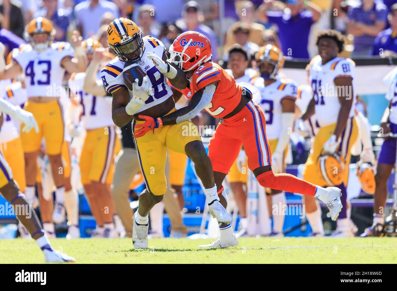 LSU Tigers linebacker Damone Clark (18) intercepts the pass to Florida ...