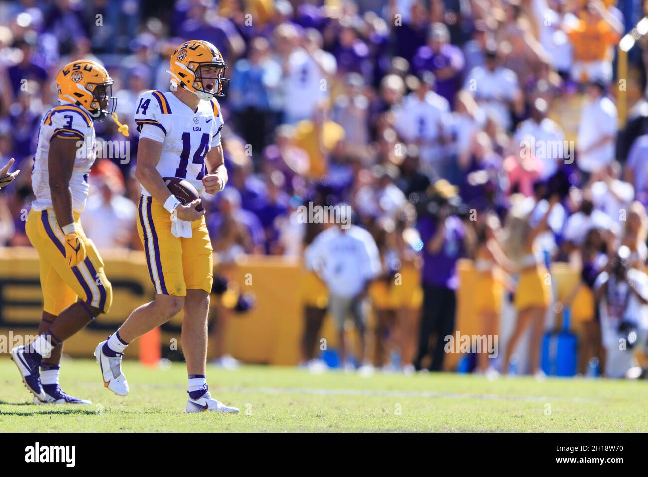 Lsu tigers hi-res stock photography and images - Alamy