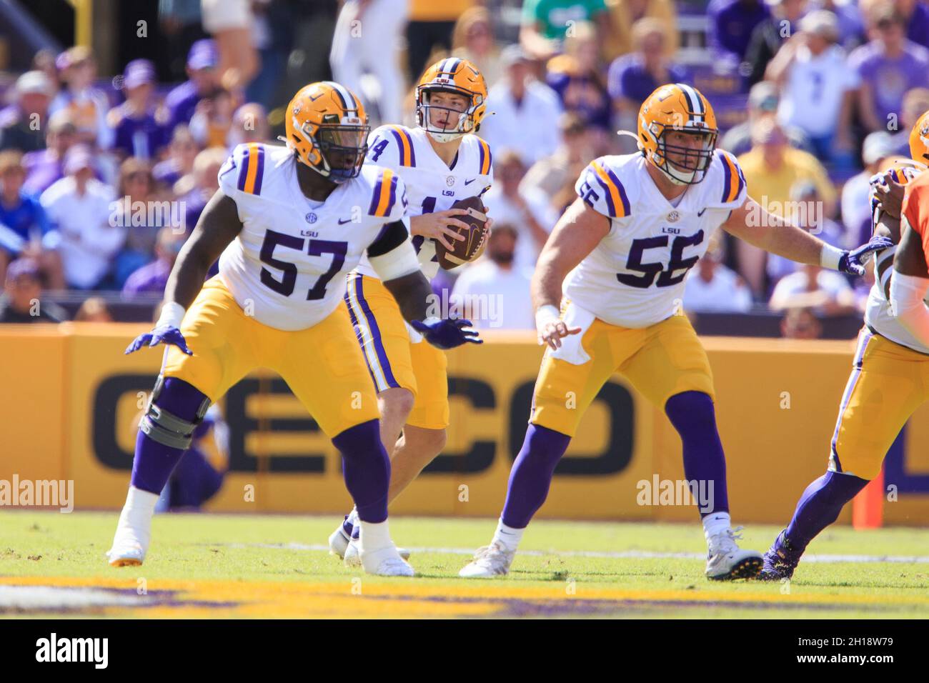 LSU Tigers quarterback Max Johnson (14) scans the field behind LSU ...