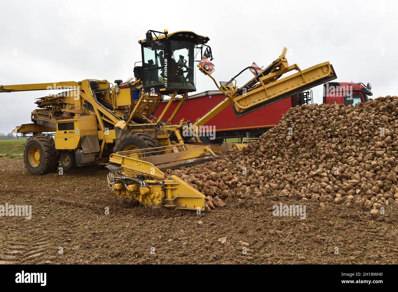 Beet cleaning loader hi-res stock photography and images - Alamy